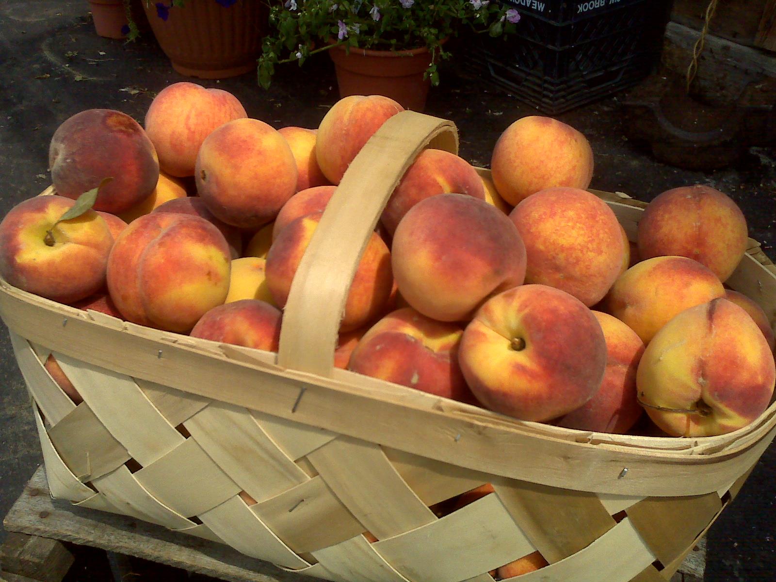 Farmers Markets In Cincinnati Northern Kentucky Family Friendly Farmers Markets In Cincinnati Northern Kentucky Family Friendly